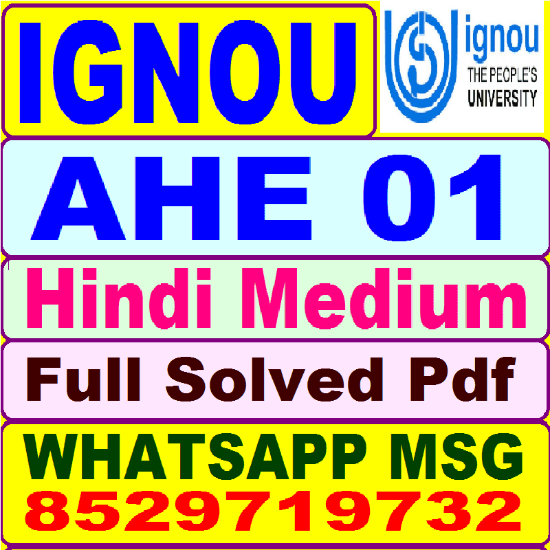 Ahe 01 Project 2023 Pdf In Hindi 3021